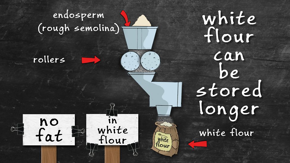 GCSE Design and Technology: The causes of food poisoning - BBC Teach