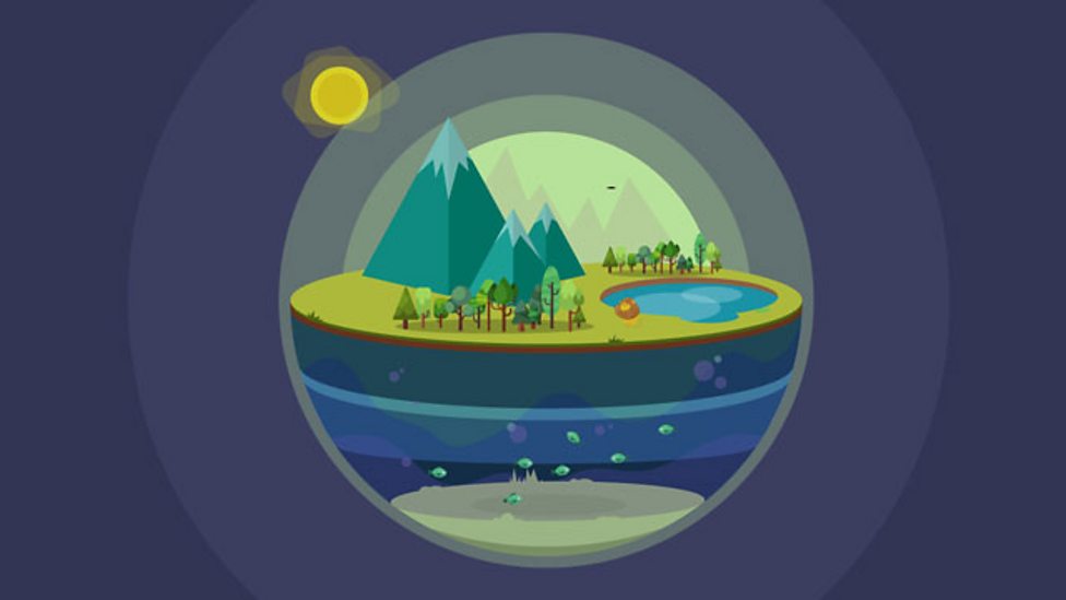 KS2 Science - BBC Bitesize