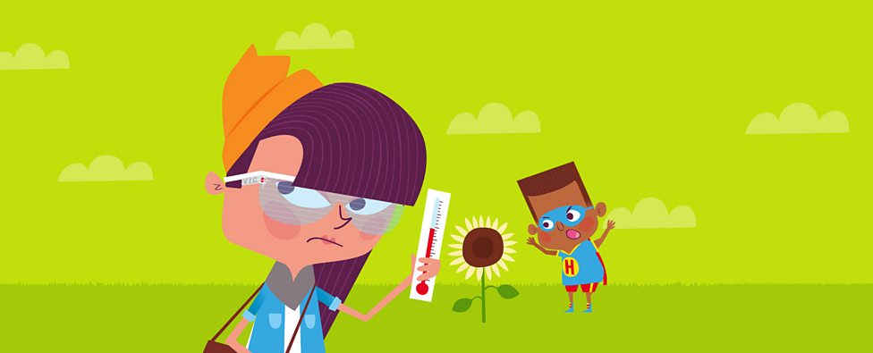 Working scientifically - KS2 Science - BBC Bitesize