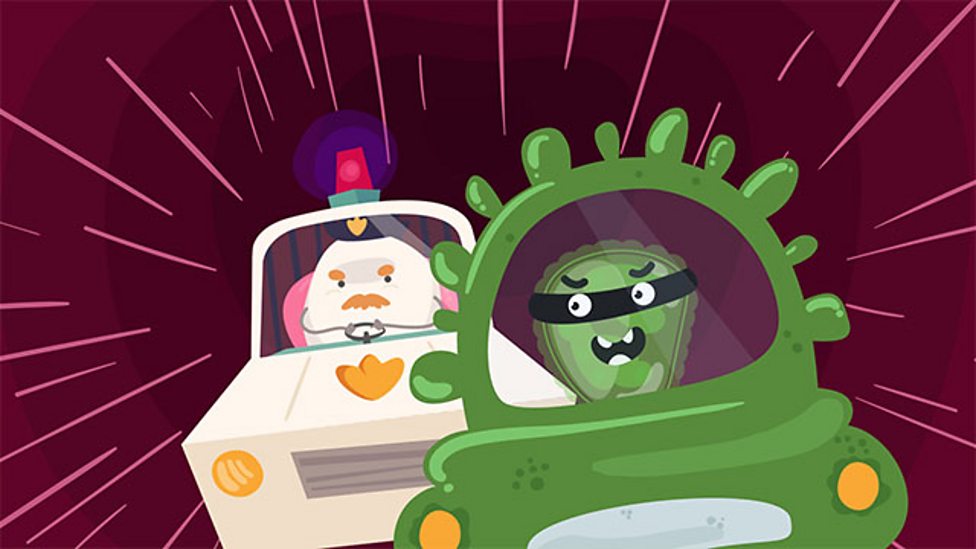 The Human Body - KS2 The World Around Us - BBC Bitesize