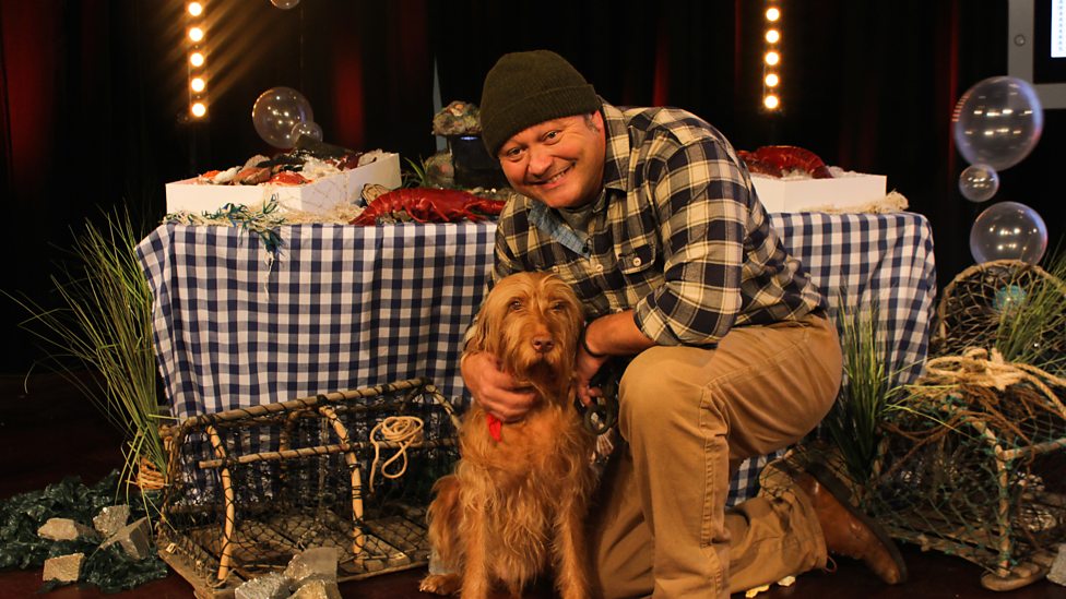 CBeebies: Stories by the Sea - Live Lesson - BBC Bitesize