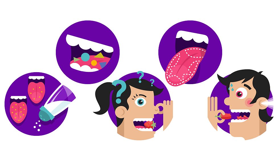 Taste investigation - additional resources - BBC Teach