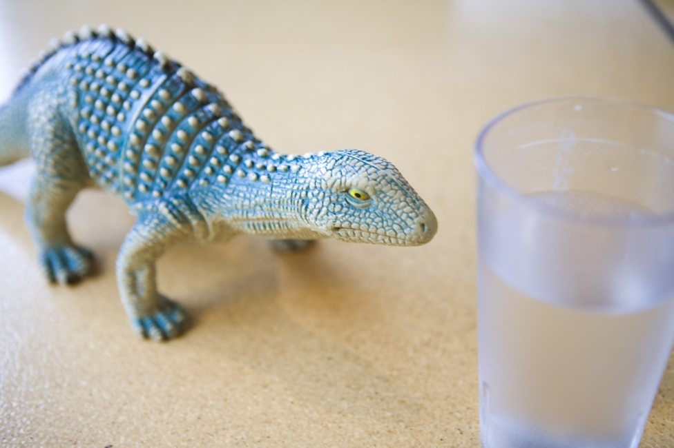 Water: Additional Resources - BBC Teach