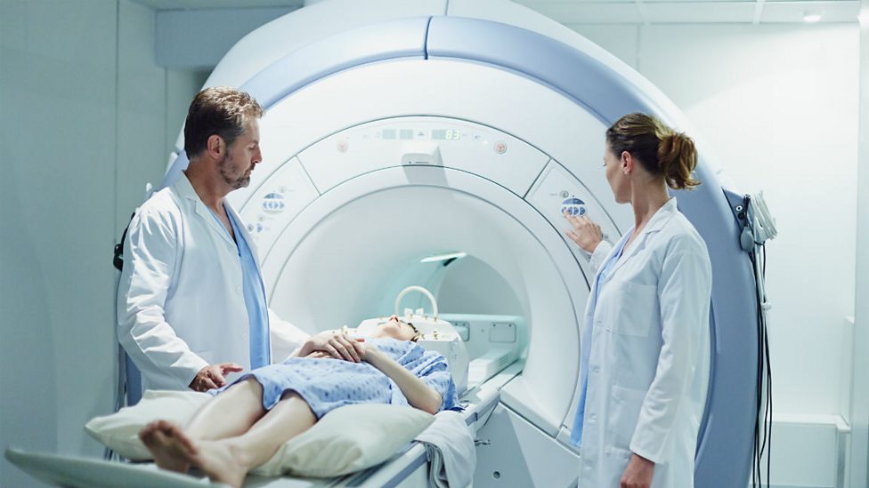 Investigating the brain - Higher - Coordination and control - The ...