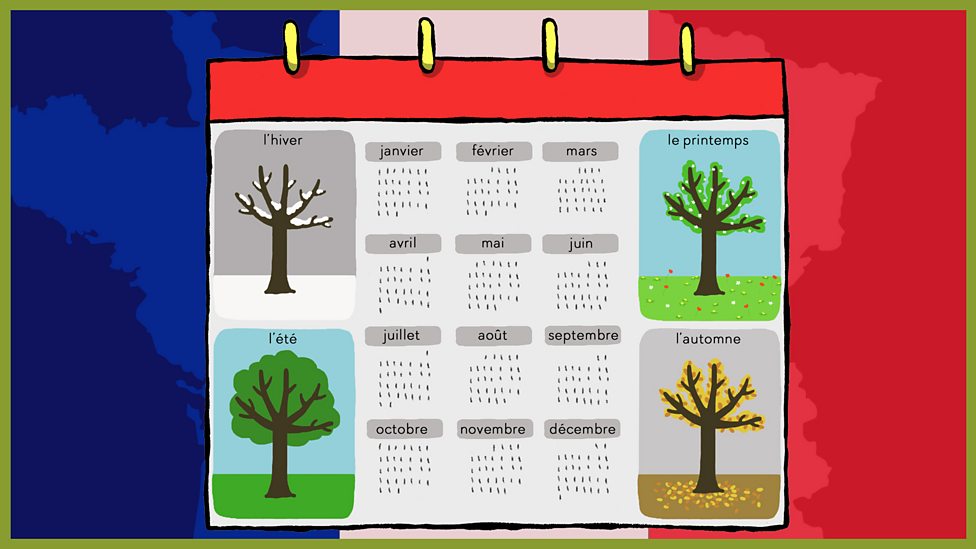 KS2 French: 1. Les animaux et les couleurs (Animals and colours) - BBC ...