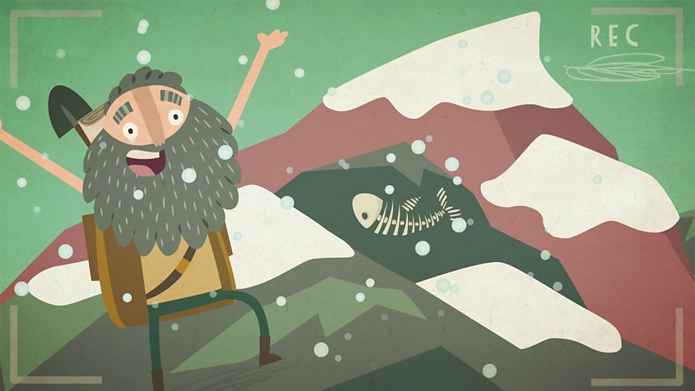 The Earth - KS2 The World Around Us - BBC Bitesize