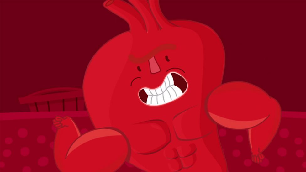 The Human Body - KS2 The World Around Us - BBC Bitesize