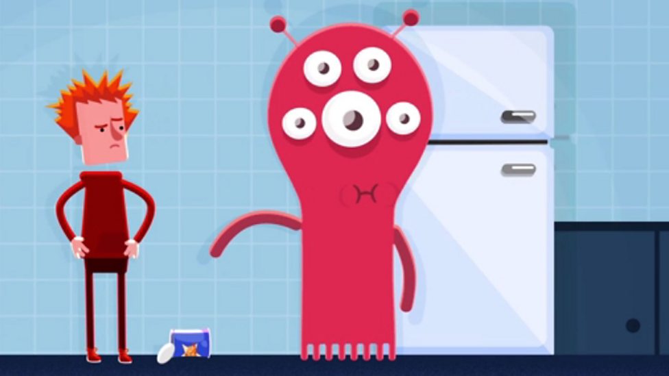 Living things and their habitats - KS2 Science - BBC Bitesize