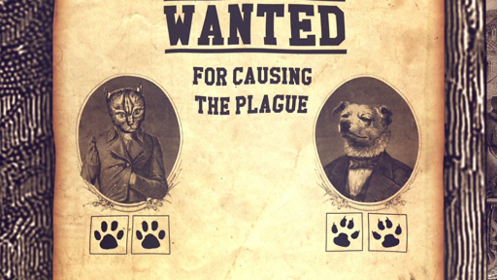 KS3 / GCSE History: Medieval Medicine - BBC Teach