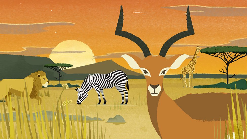 Fun online KS1 and KS2 science games for kids - BBC Bitesize