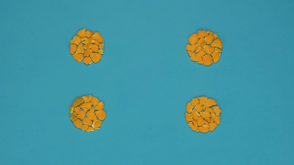 Area - KS3 Maths - BBC Bitesize