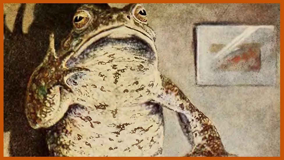 English KS2: The Wind in the Willows - BBC Teach