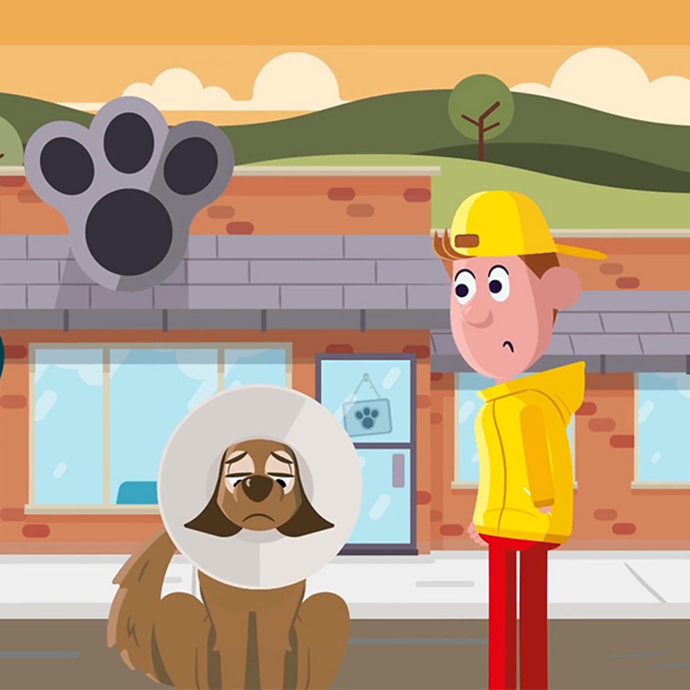 Foundation Phase Welsh for learners - BBC Bitesize