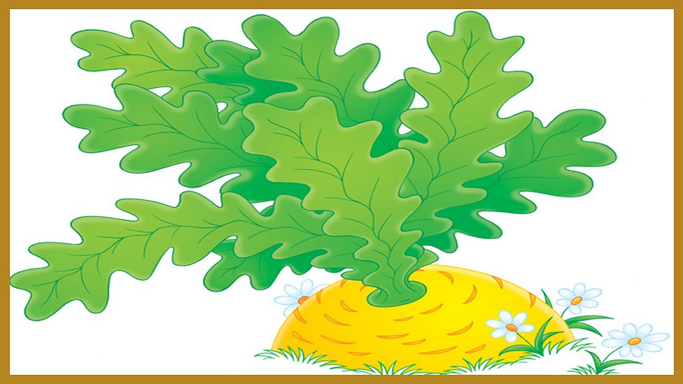 Primary Drama KS1: Traditional stories - BBC Teach