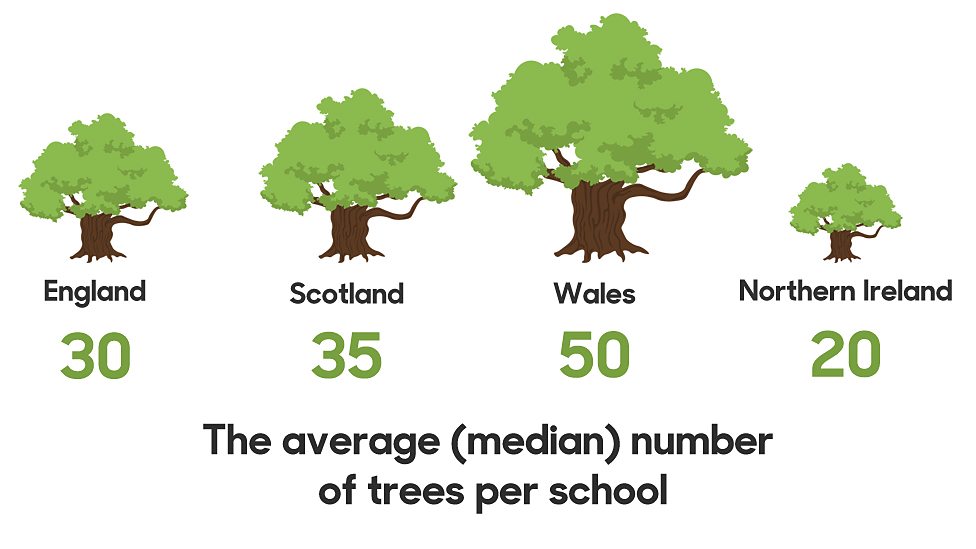 Discover our terrific map - BBC Teach