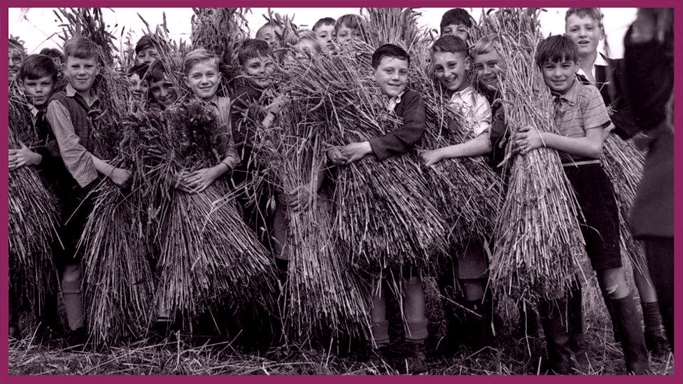 World War 2 Evacuation - BBC Teach