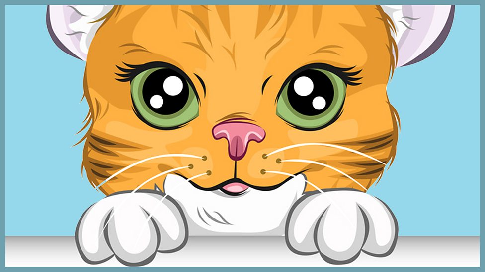 EYFS. Playtime - Toothbrush - BBC Teach