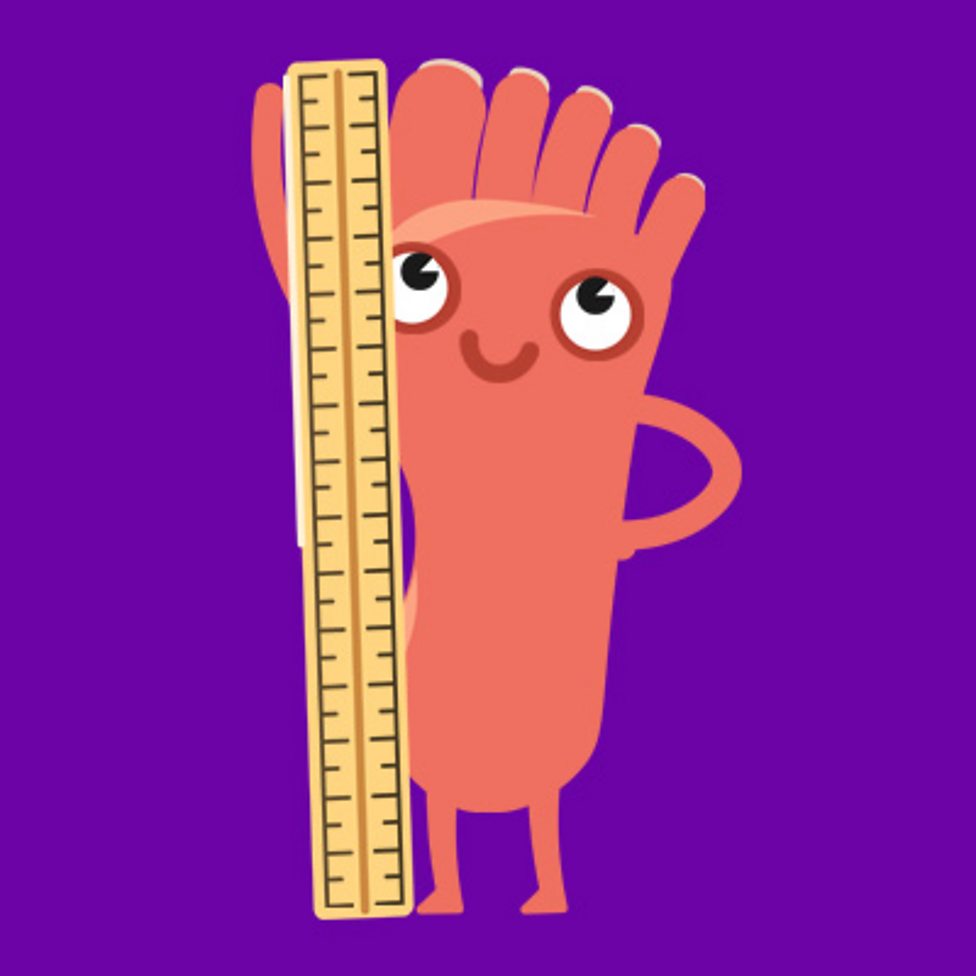 Feet: Lesson resources - BBC Teach