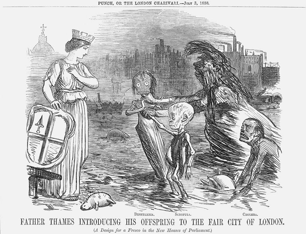 The later 19th century - Developments in public health and welfare ...