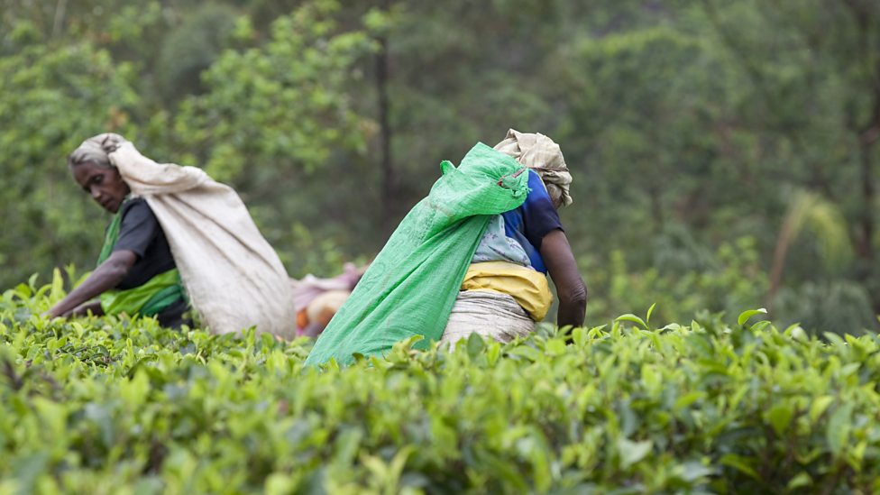 Sustainable solutions to unequal development - CCEA - BBC Bitesize