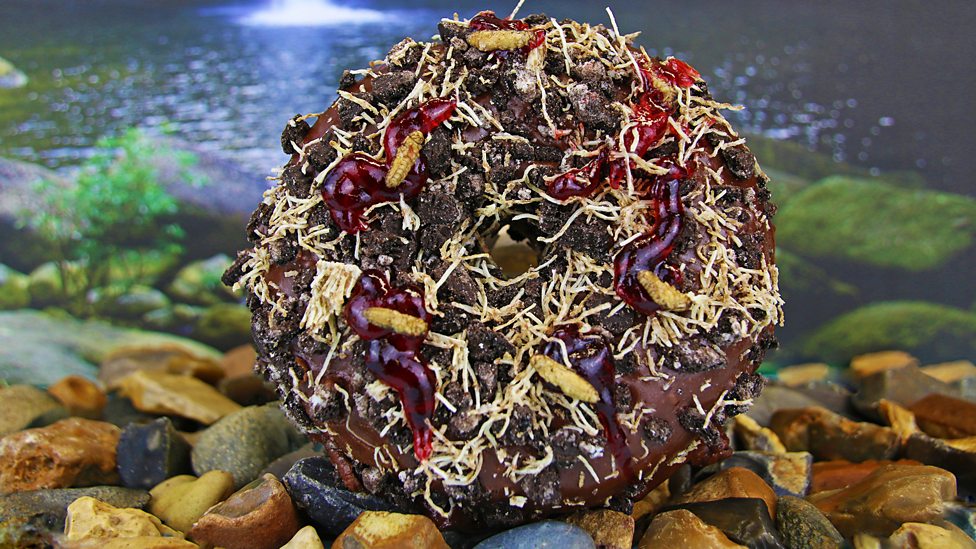 Move over cronuts and rainbow bagels, the insect doughnut is here - BBC ...