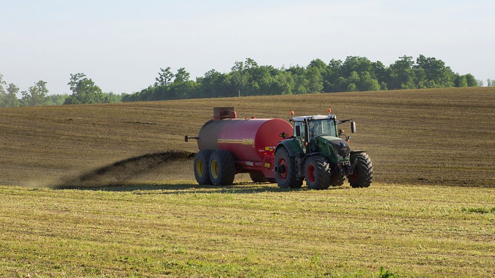 Biodiversity - GCSE Biology (Single Science) - BBC Bitesize