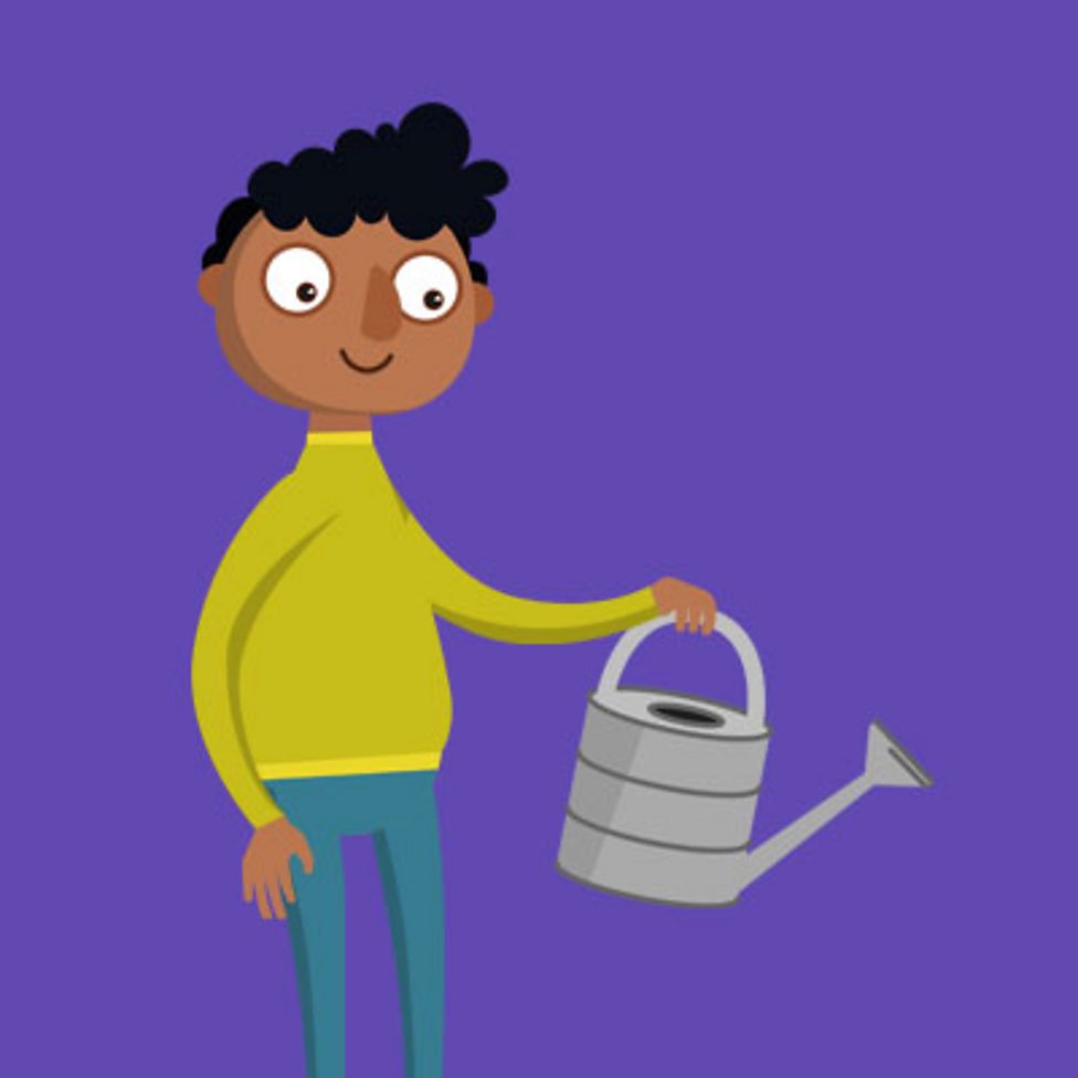 Grow: Lesson resources - BBC Teach