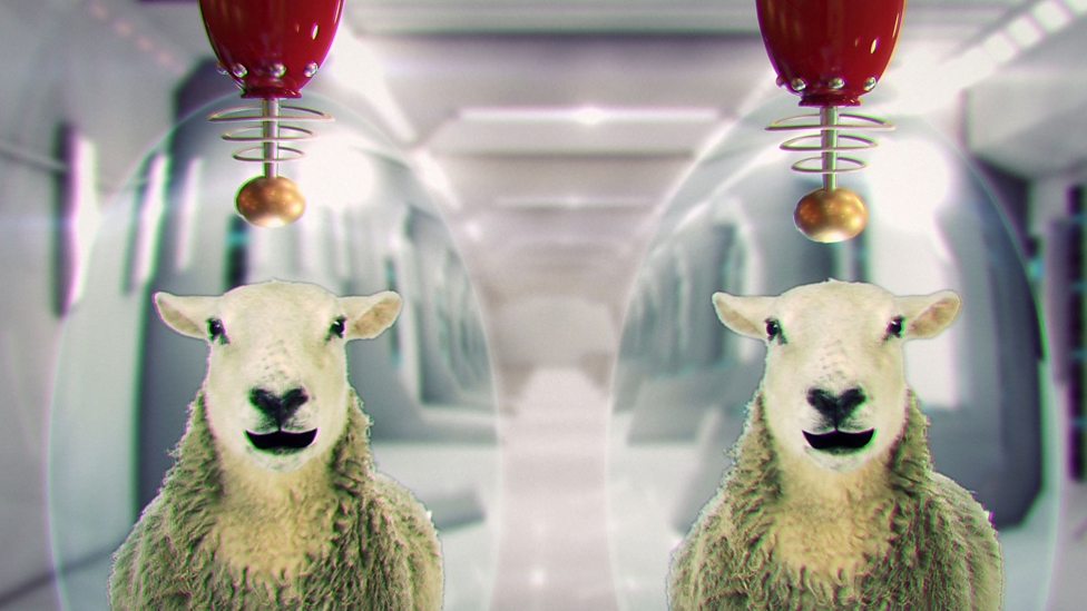 Inheritance and genetics - KS3 Biology - BBC Bitesize