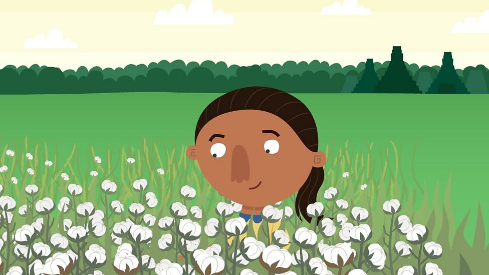 The Ancient Maya Civilisation | KS2 Topics | Ages 7-11 - BBC Bitesize