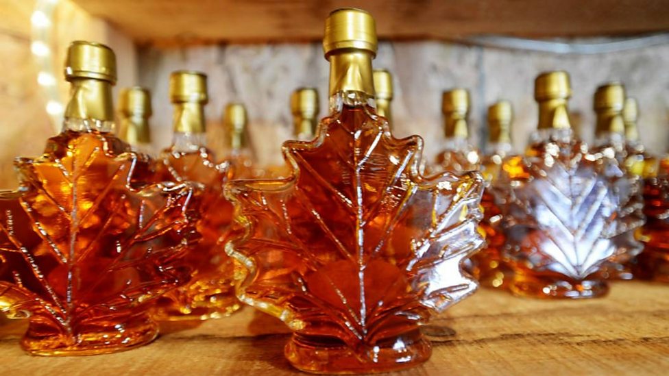 Meanwhile in Canada, thousands of litres of maple syrup stolen - BBC Three