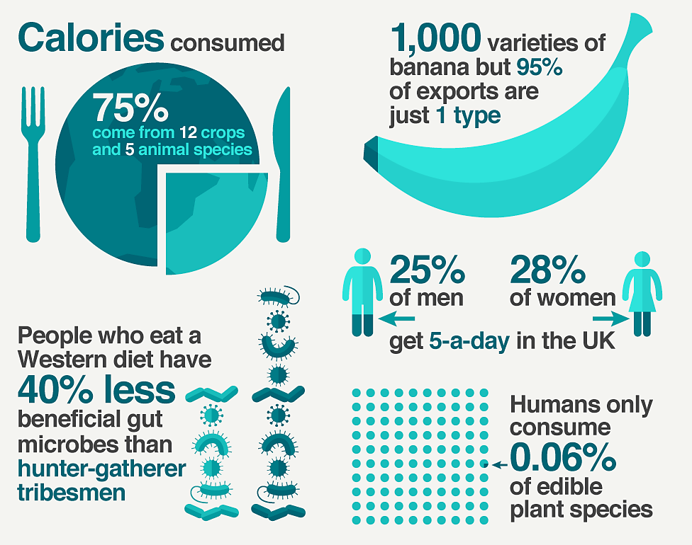 How bad for you is a boring diet? - BBC Food