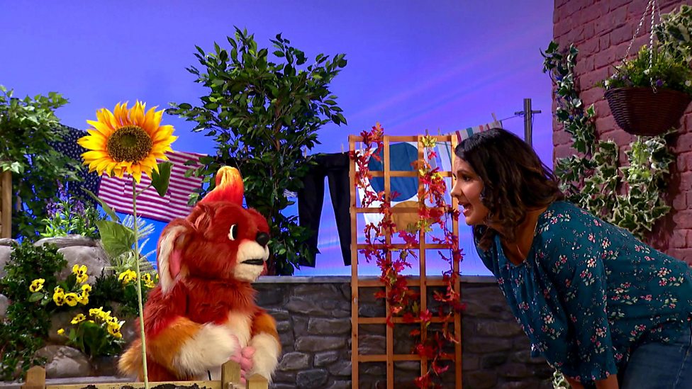 EYFS / KS1 PSHE: How to cope with feeling sad - BBC Teach