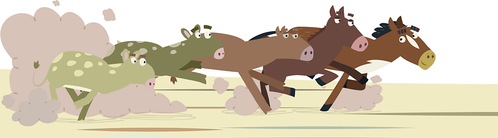 What is evolution? - BBC Bitesize