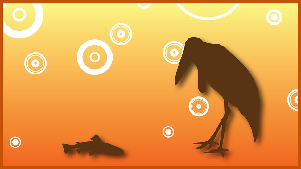 English KS1/KS2: Aesop's Fables - 31. Androcles and the Lion - BBC Teach