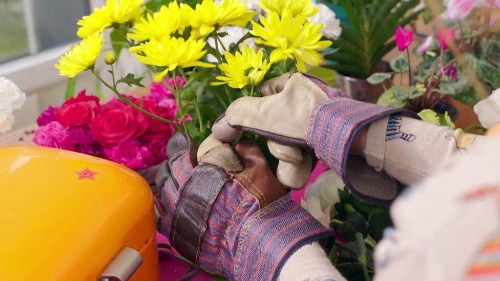 KS1 / KS2 Science: What do plants need to survive? - BBC Teach