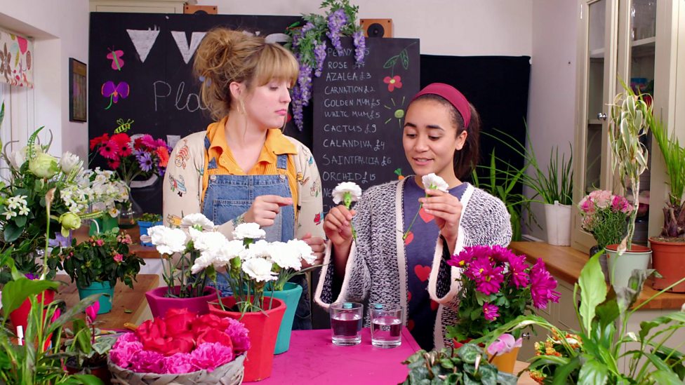 KS1 / KS2 Science: The anatomy of the flower - BBC Teach