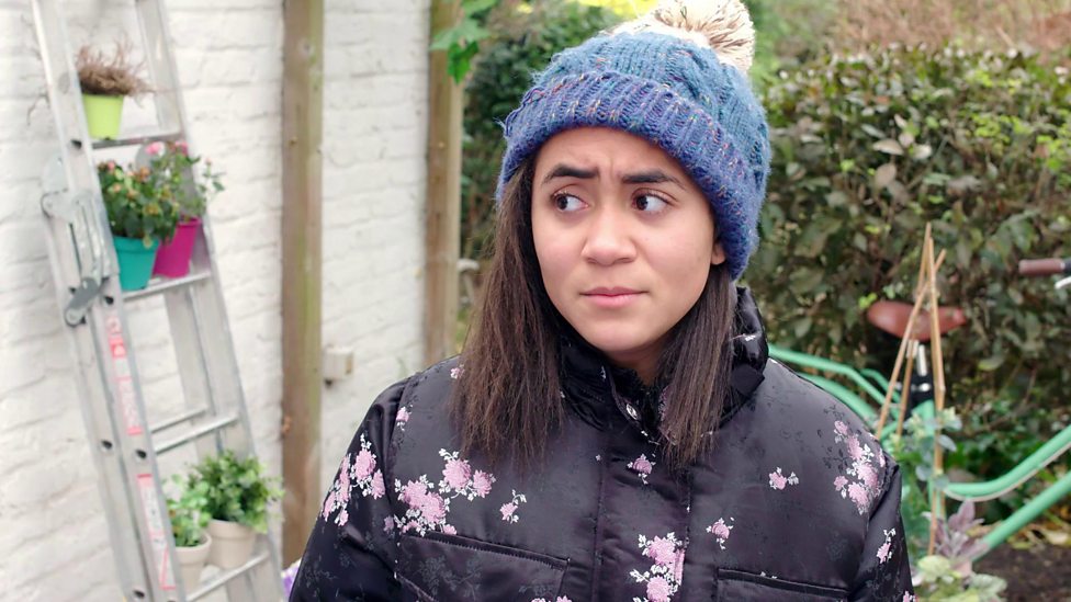 KS1 / KS2 Science: The impact deforestation has on plants and nature ...