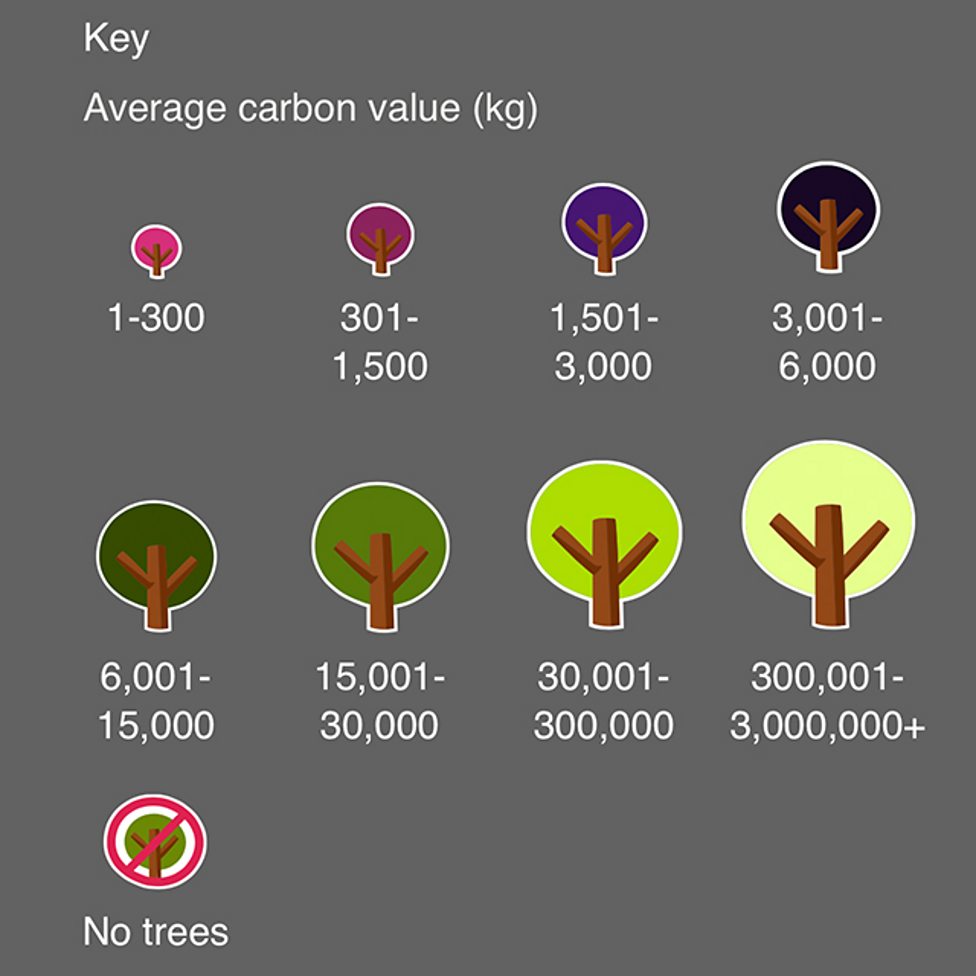 Trees map - BBC Teach