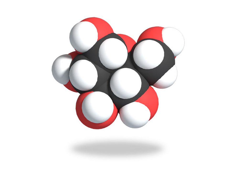 What are carbohydrates? - Nutrition, digestion and excretion - KS3 ...