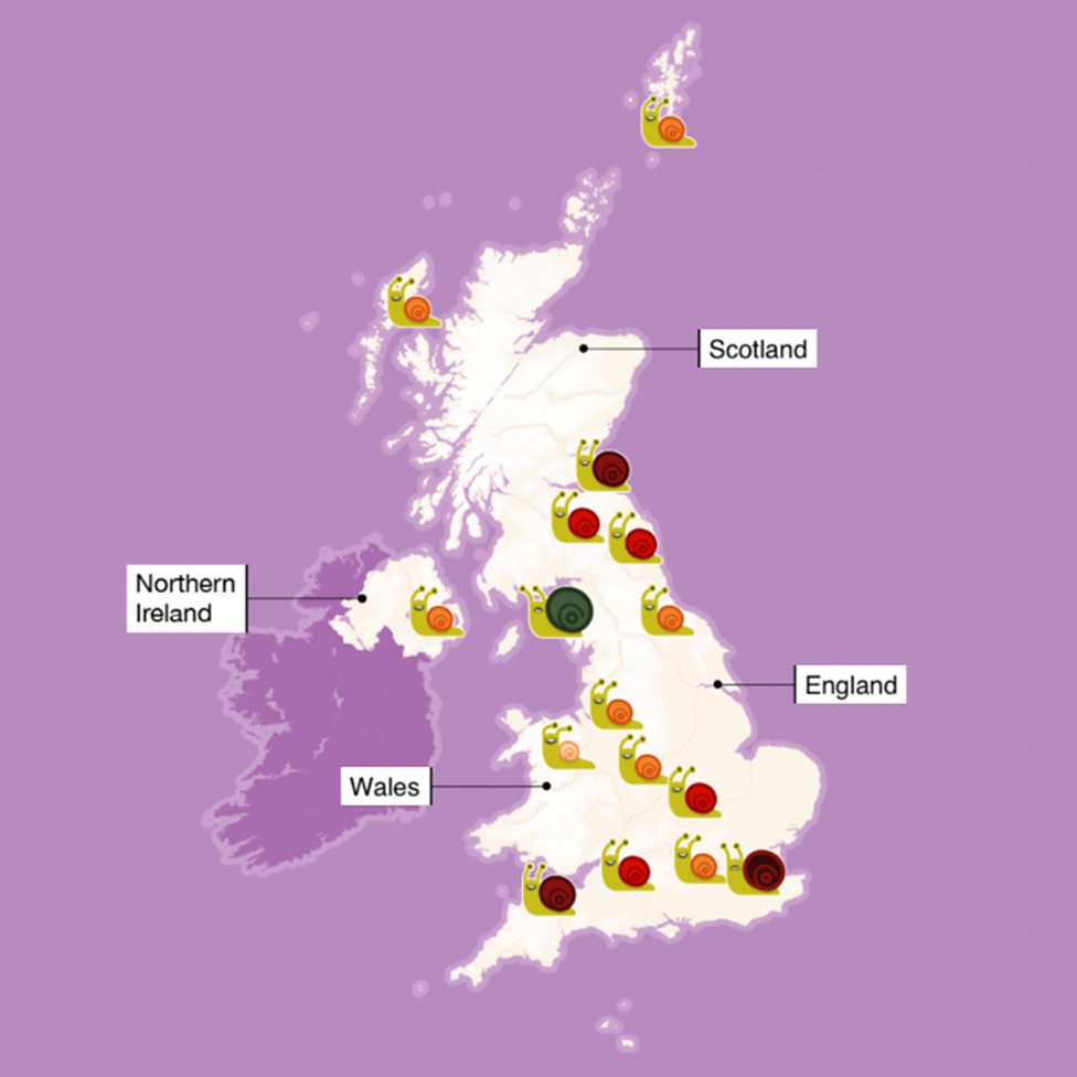 Terrific Scientific map - BBC Teach
