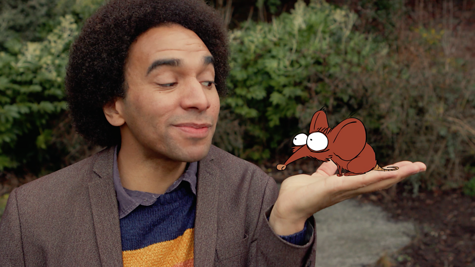 Understanding Poetry - BBC Teach