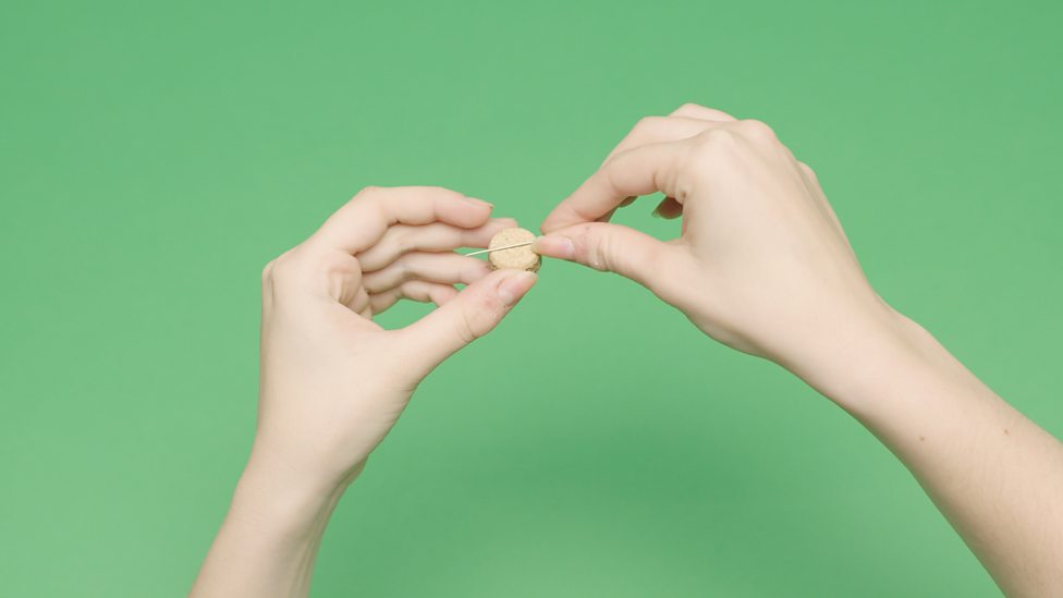 How to make a magnetic compass guide for KS3 physics students - BBC ...