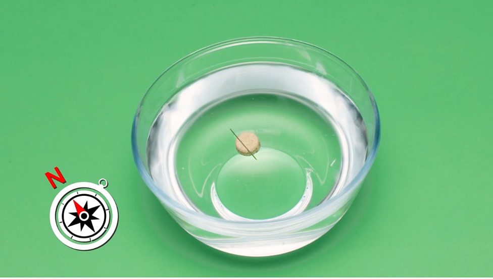 How to make a magnetic compass guide for KS3 physics students - BBC ...