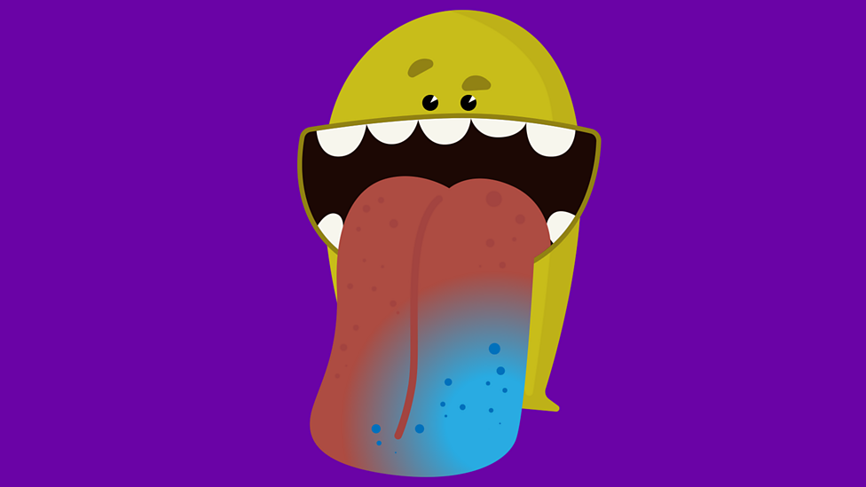 Taste investigation - additional resources - BBC Teach