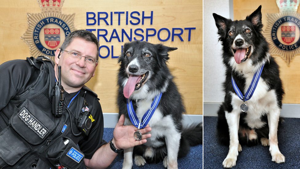 Police dog given bravery award for work after Manchester terror attack ...