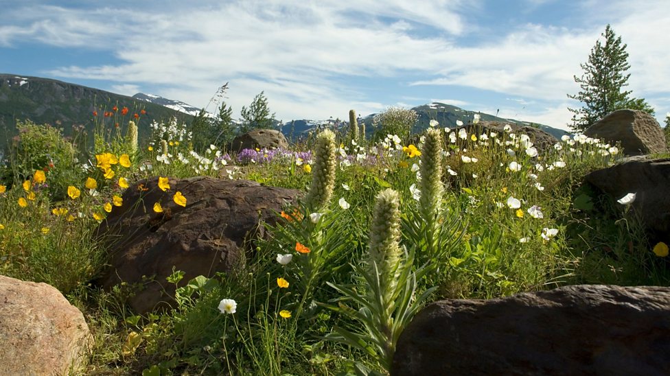 Could humans live without solar light? - BBC Teach
