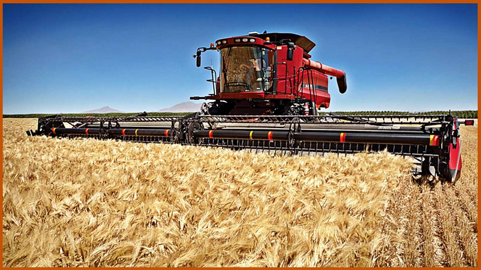 Resources for Harvest festival - BBC Teach