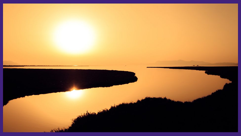 KS1 Dance: Time to Move - BBC Teach