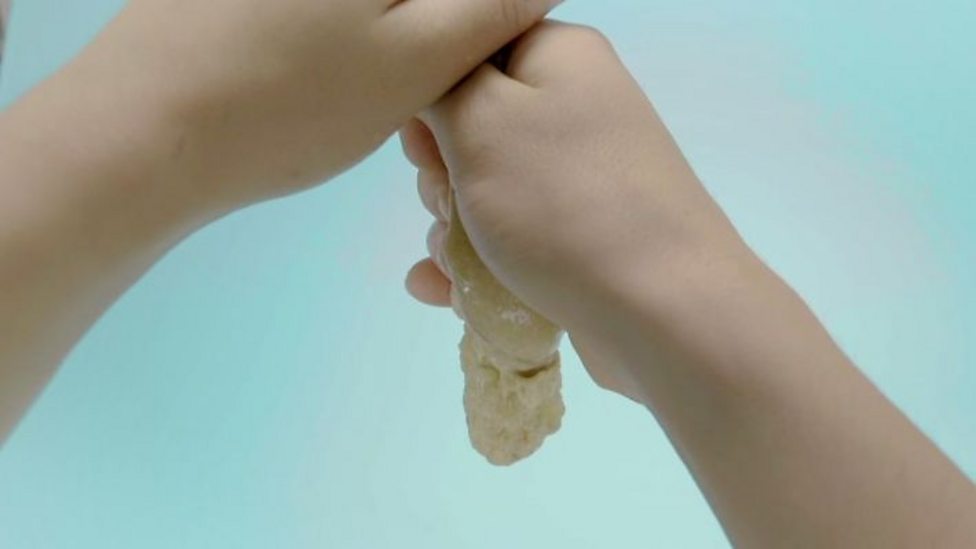 Nutrition, digestion and excretion - KS3 Biology - BBC Bitesize