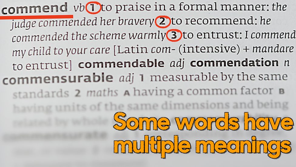 How to use a dictionary - BBC Bitesize